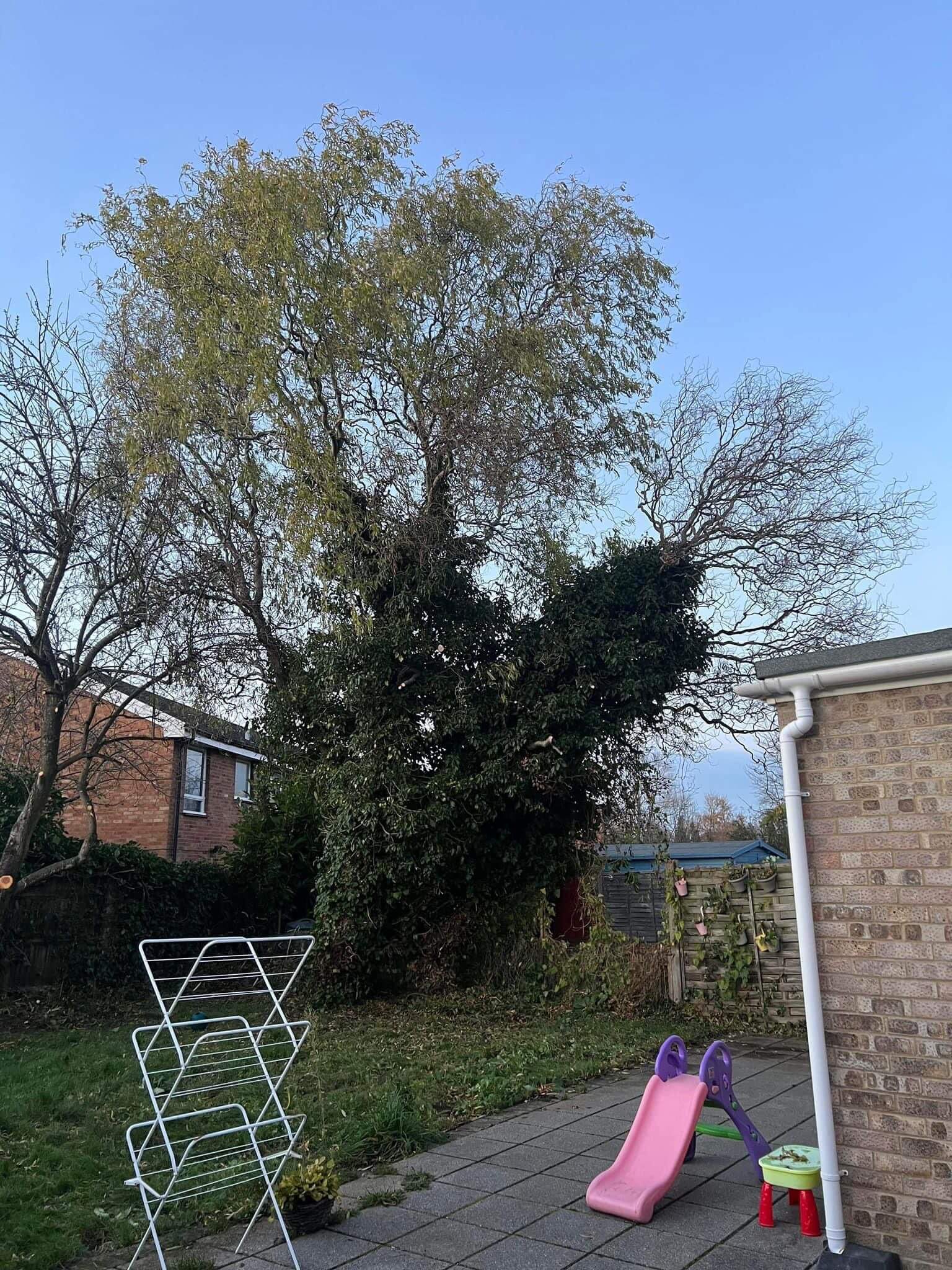 Tree Surgeon | Best Gardening & Landscaping