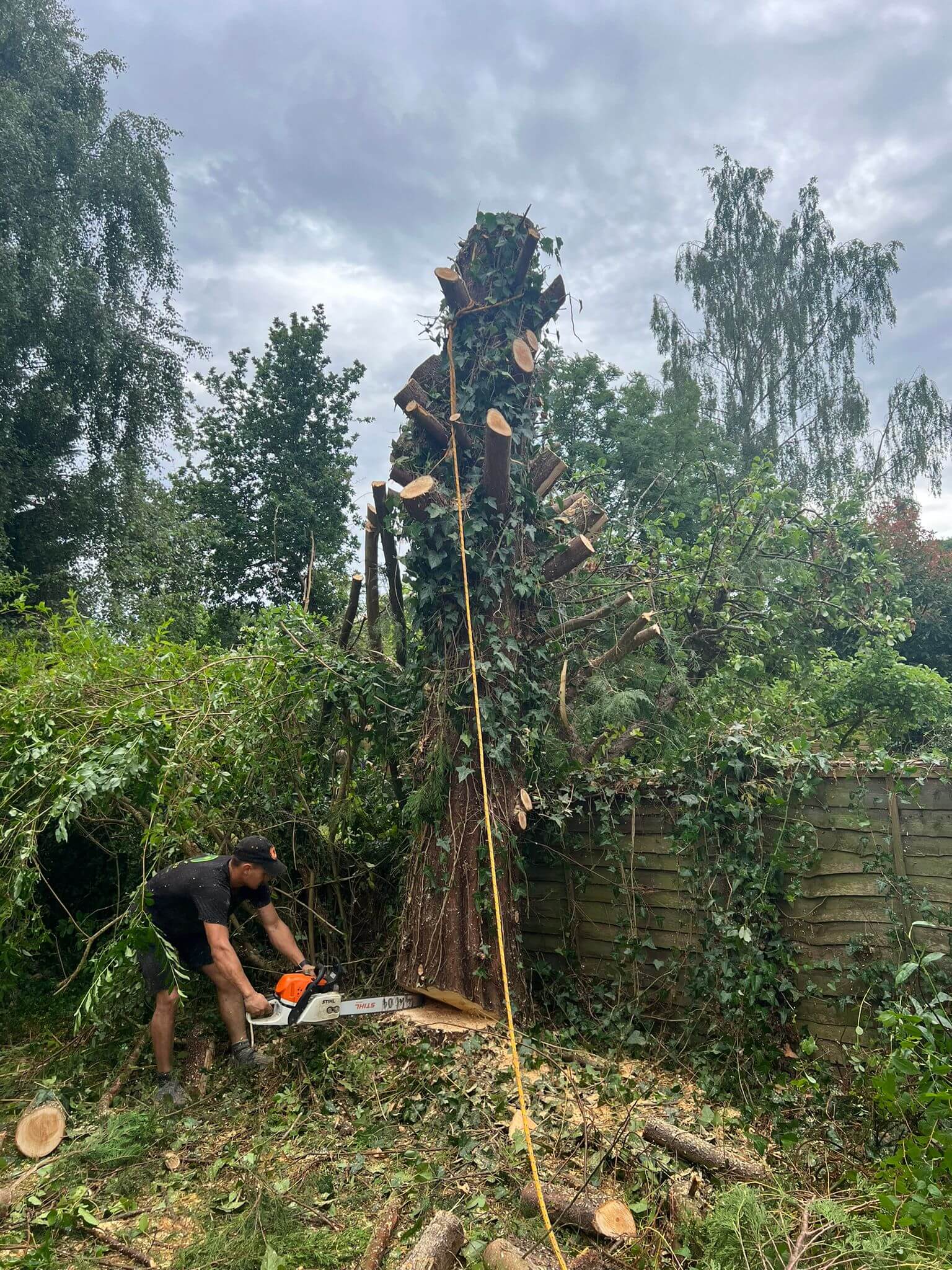 Tree Surgeon | Best Gardening & Landscaping